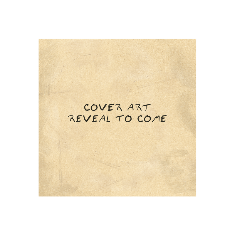 I'm The Problem First Pressing Vinyl - Morgan Wallen CA